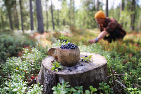 6 Reasons to Visit Lakeland Finland - Europe's Largest Lake District